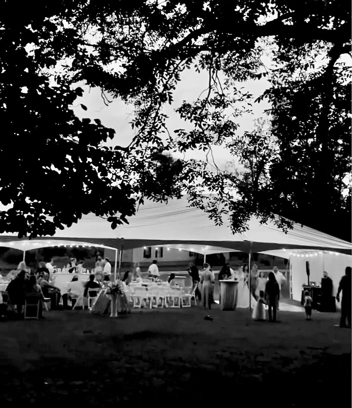 Consultation Services | C’est Bon Event Rentals