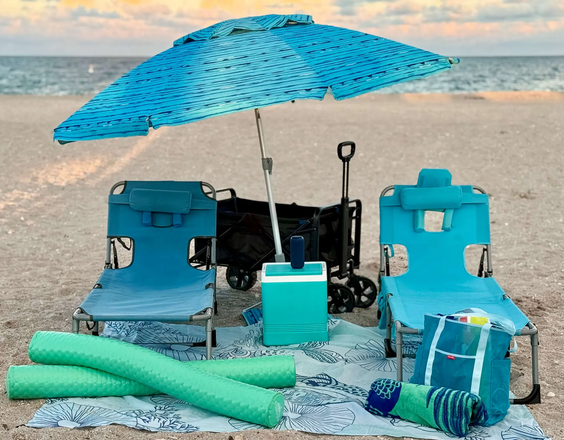 Siesta Key Beach Gear Rentals | Chairs, Umbrellas & More | Sunny Days ...