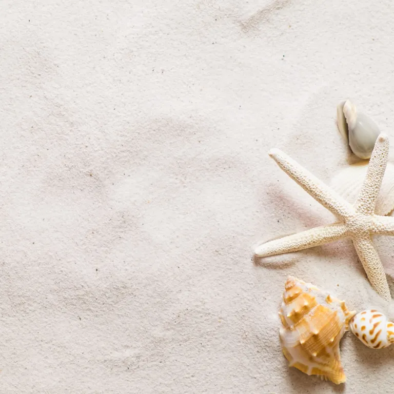 Beach Umbrella & Canopy Rentals – Sun Shade Options | Sunny Days Beach ...