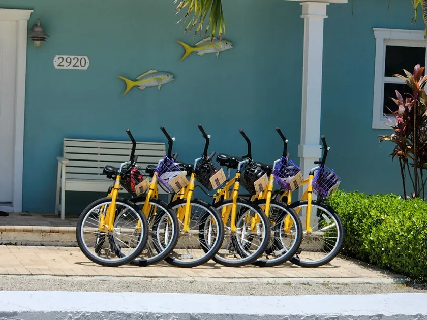 Best Bike Shop & Bike Rental services | Marathon Bikeworks